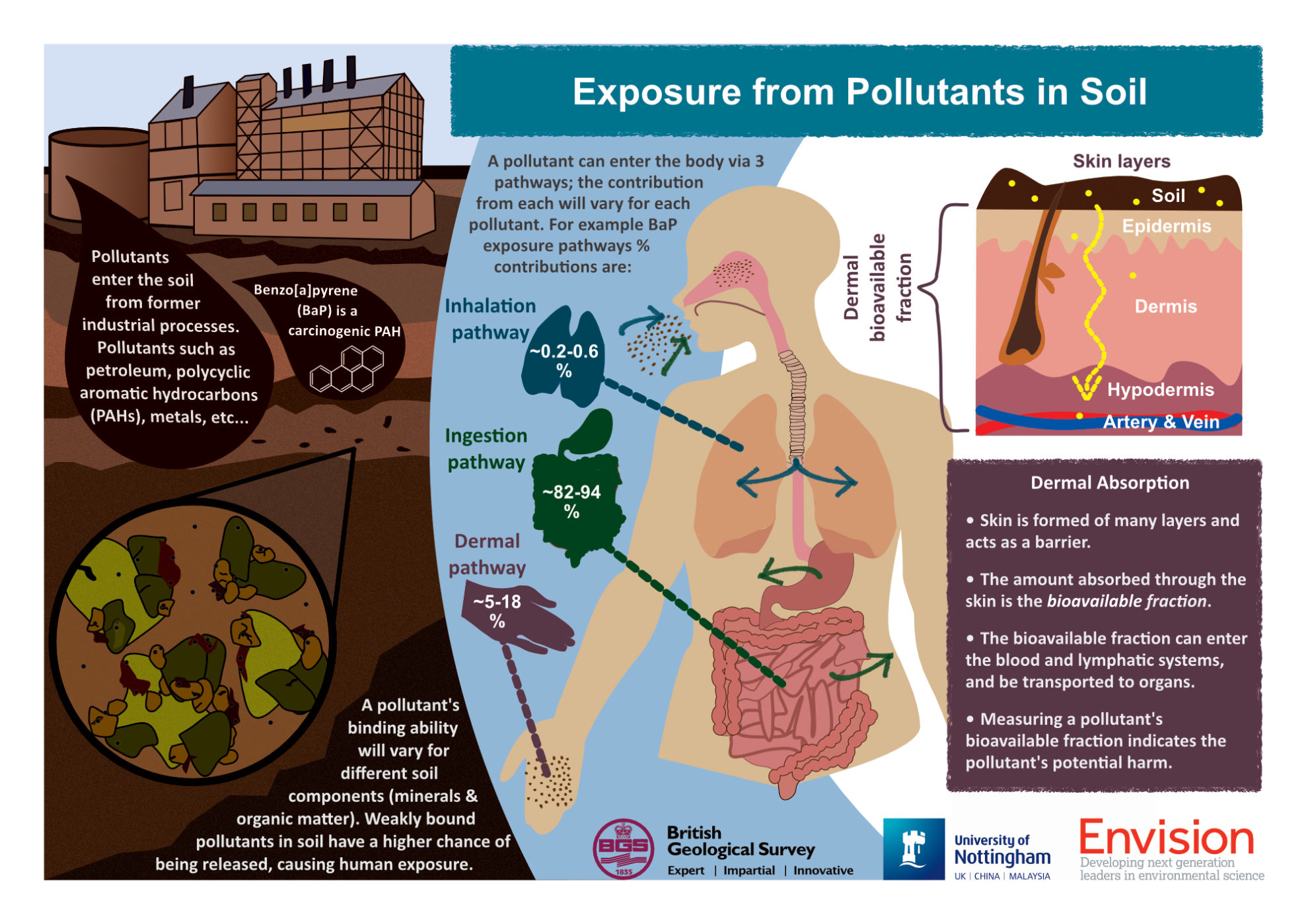 Clayson, Alison // Exposure from pollutants in soil