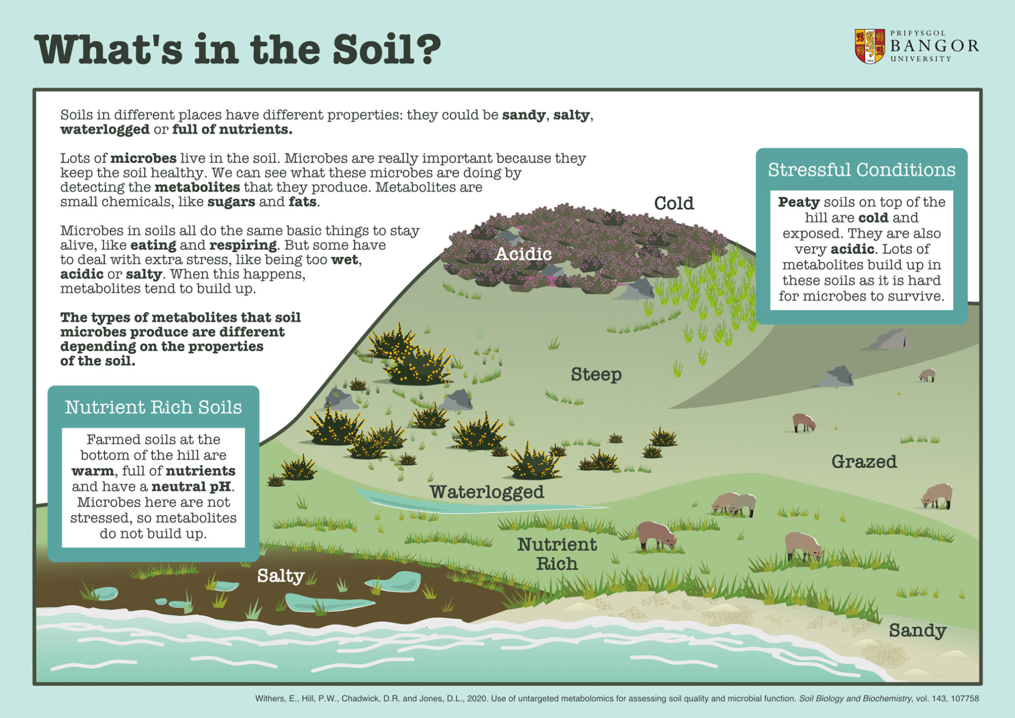 Soil & geology