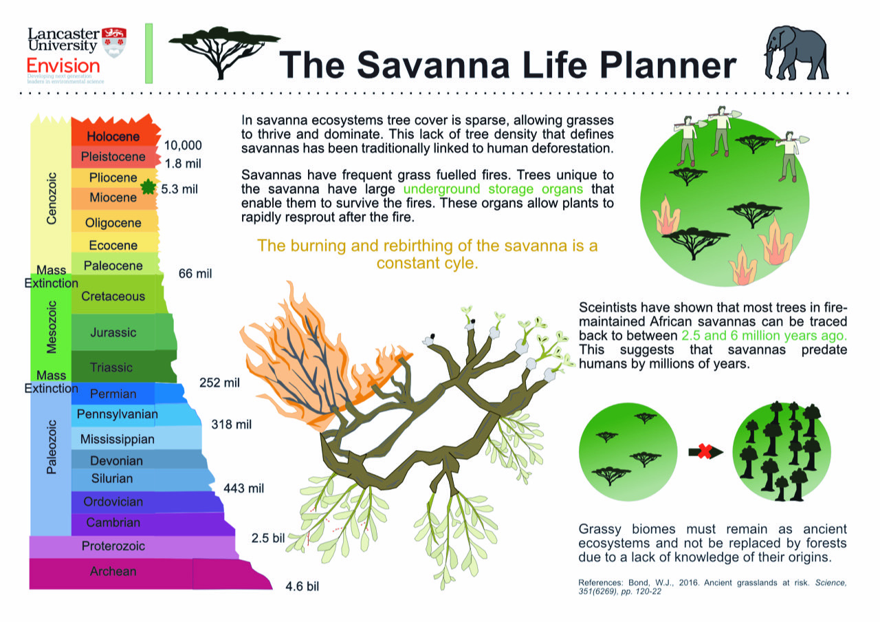 Hodgson, Mary // The savanna life planner
